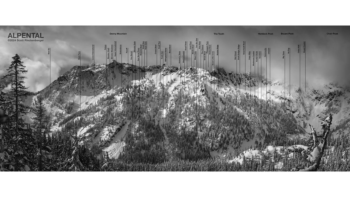 Alpental Backcountry Poster 48x20 (small)– Pro Ski Service